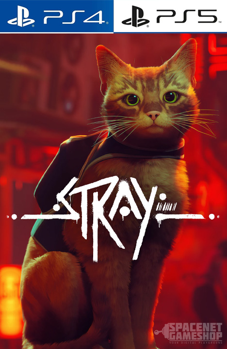 Stray PS4/PS5